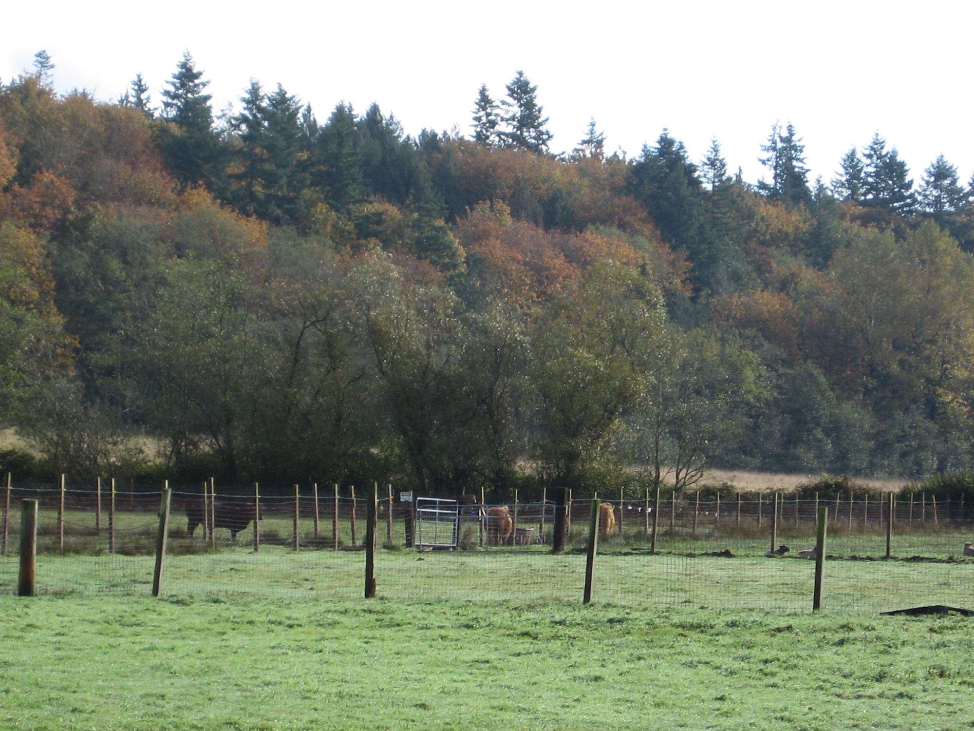 Autumn | Schoonover Farm Blog