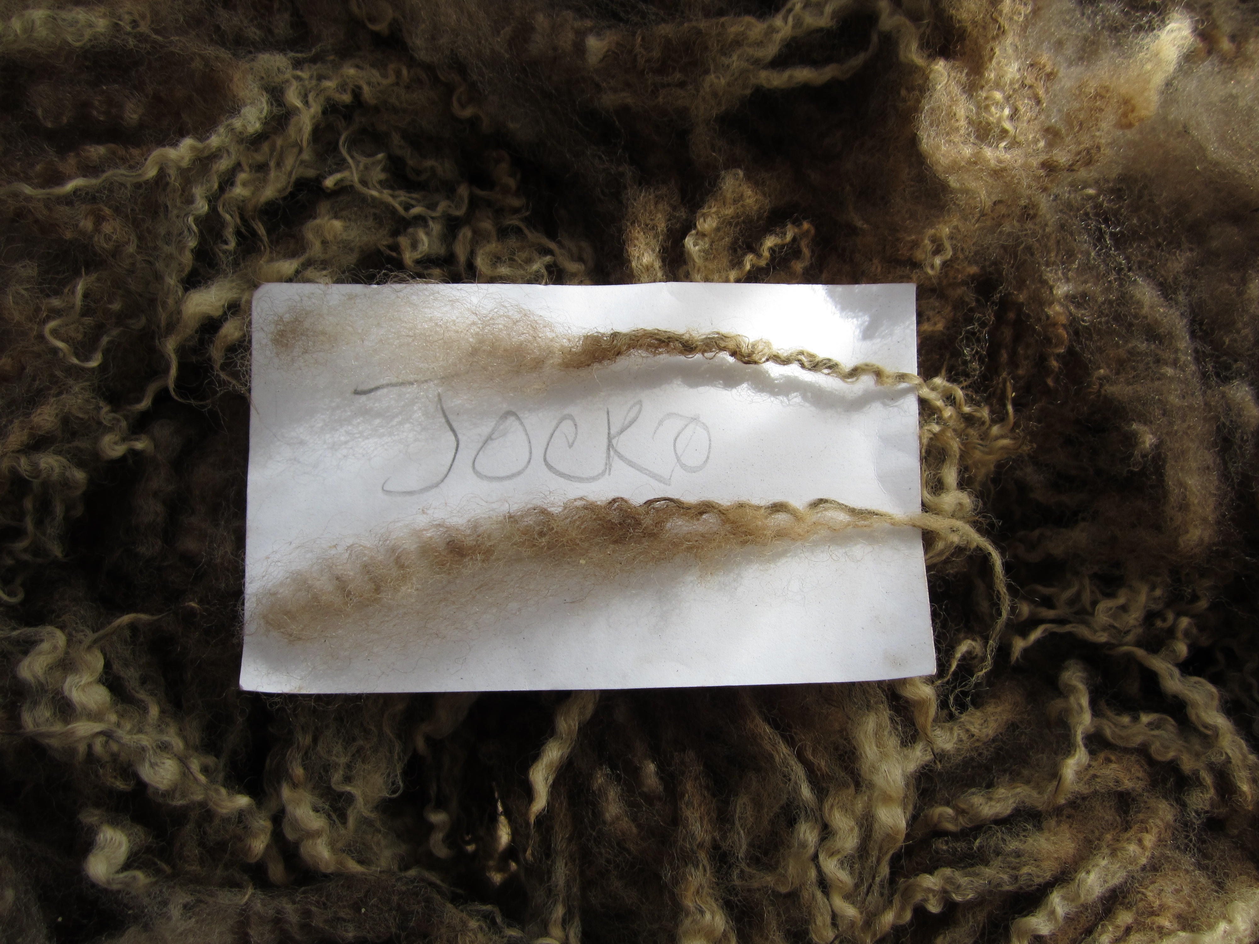 Jocko lock | Schoonover Farm Blog