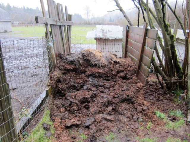 Poop Piling Up | Schoonover Farm Blog