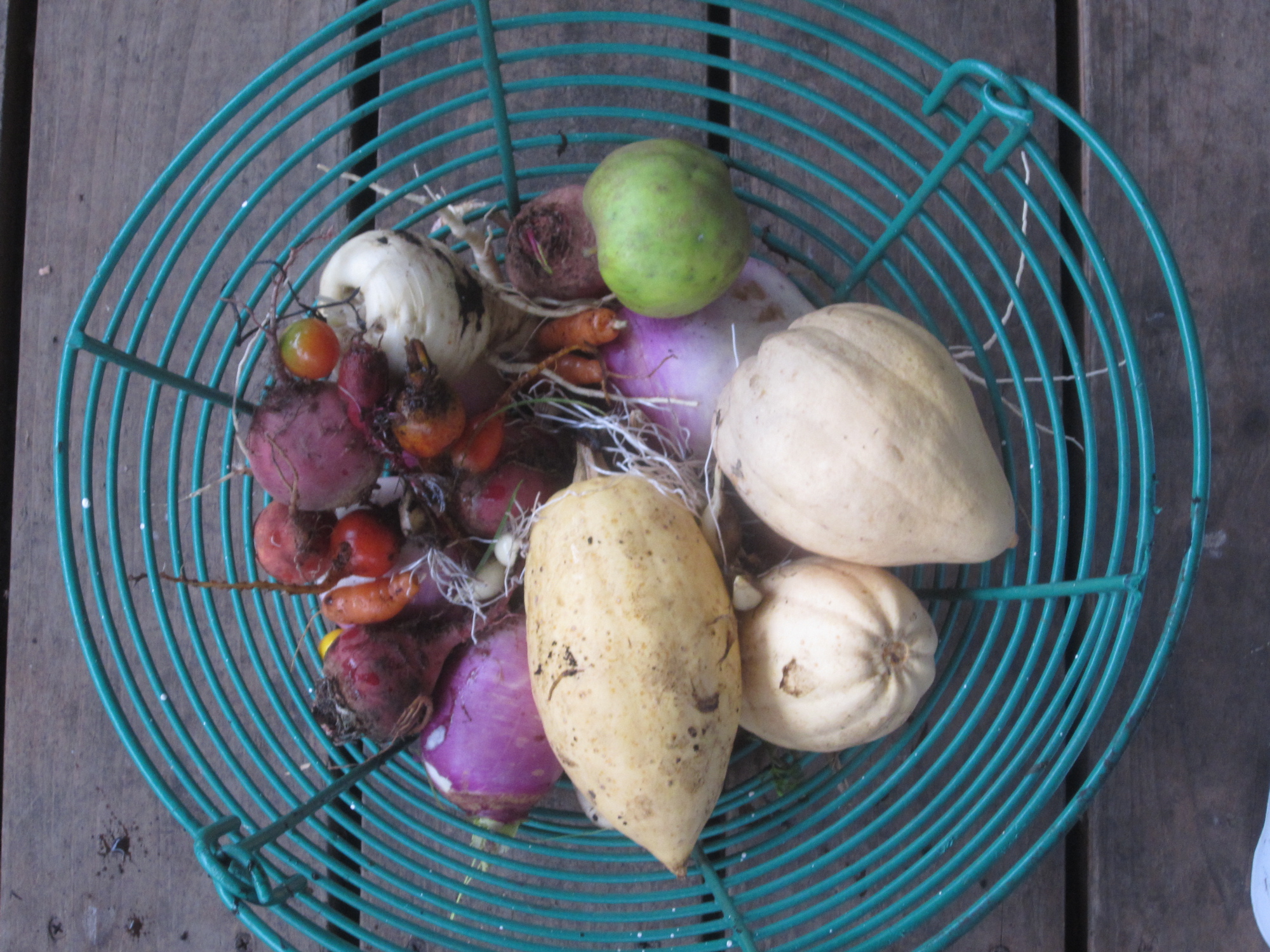 Harvest Feast | Schoonover Farm Blog