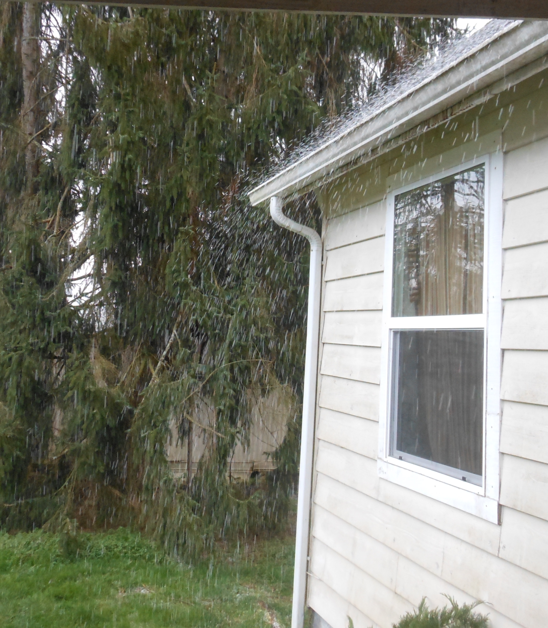 hail bouncing off roof | Schoonover Farm Blog