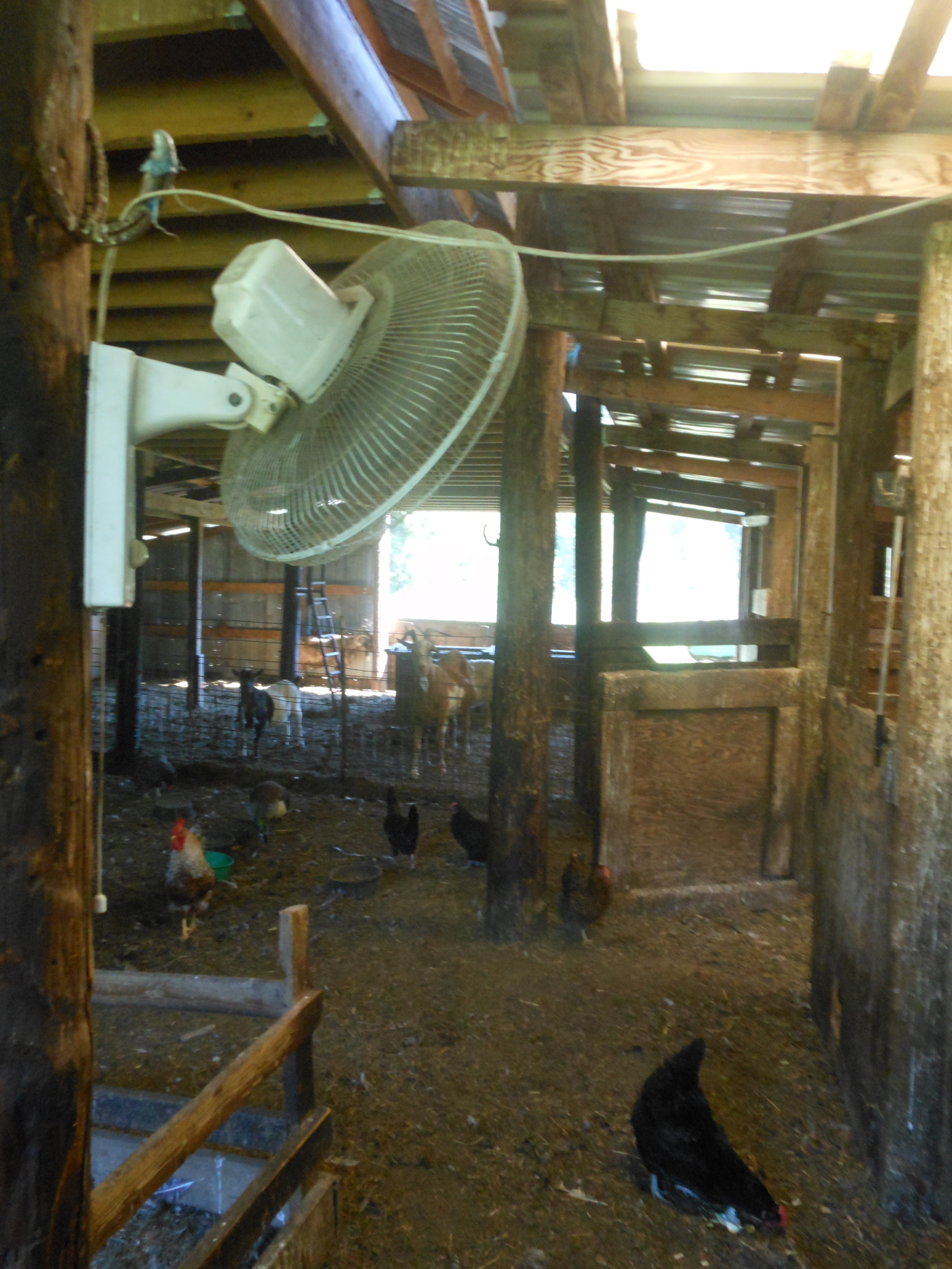 barn fan | Schoonover Farm Blog